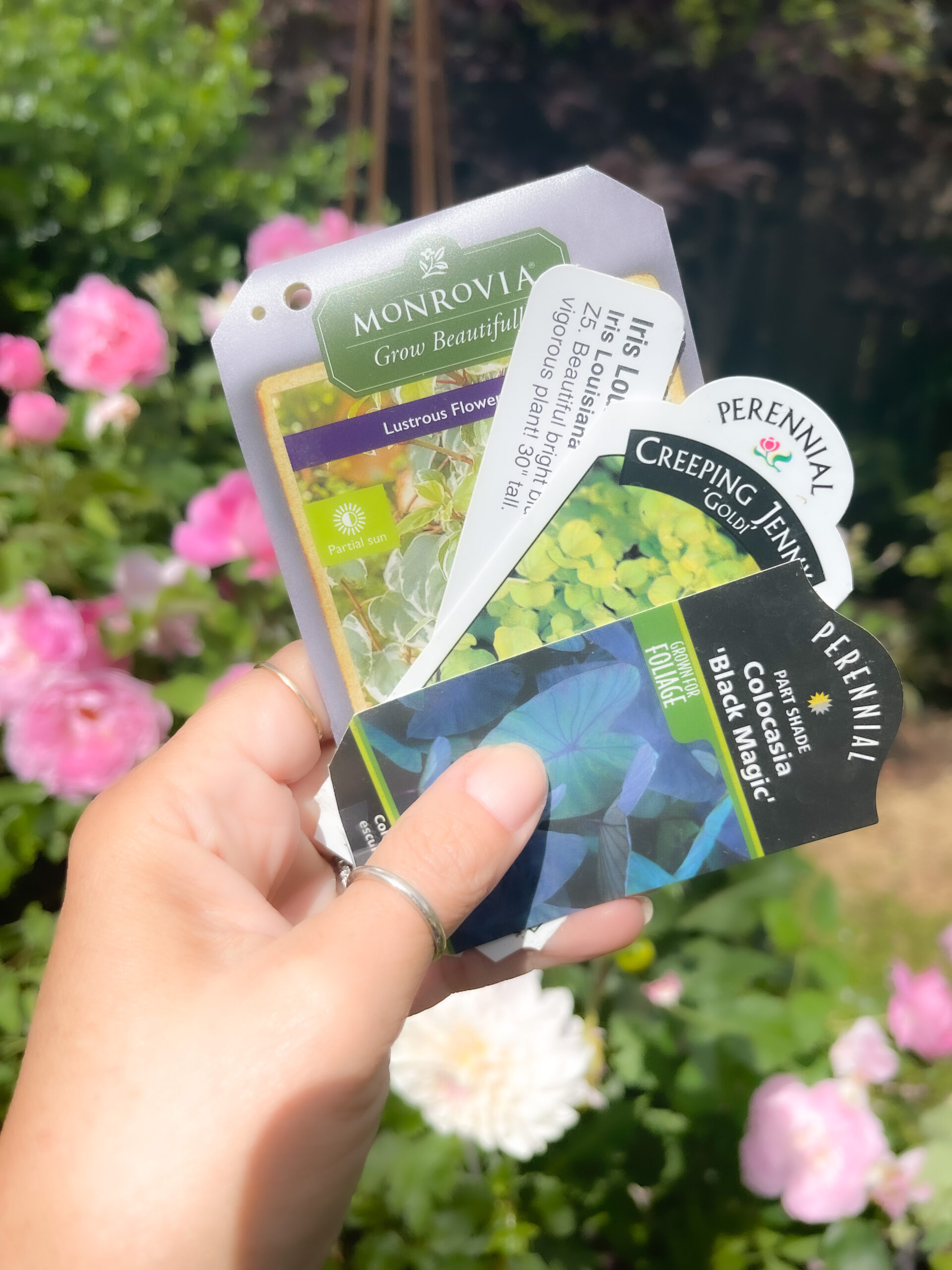 ORGANIZING IDEAS DIY | Plant tag hacks! - CocoonRaw